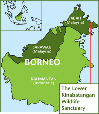 Bornean Map