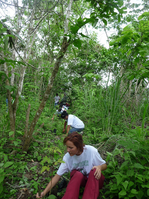 reforestation-day-2011-pro-bosque-planting-vl - World Land Trust