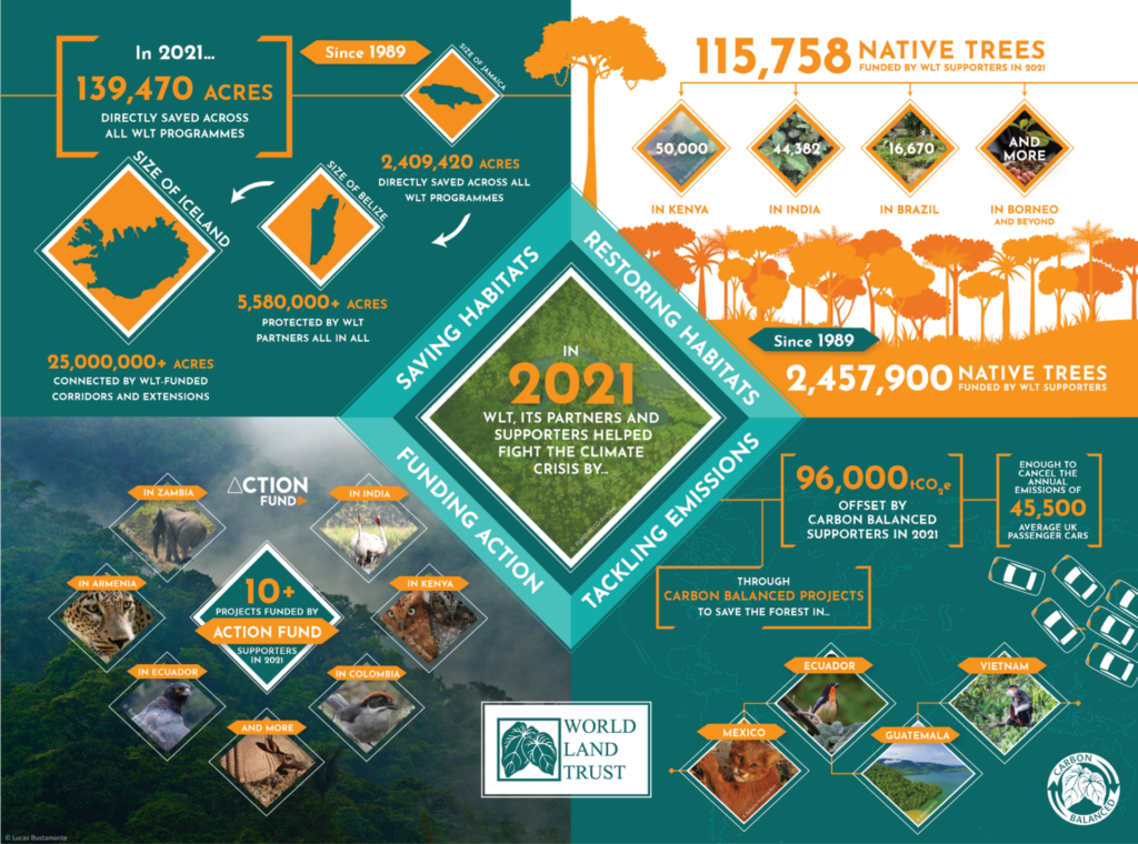 Impact in the year of COP26