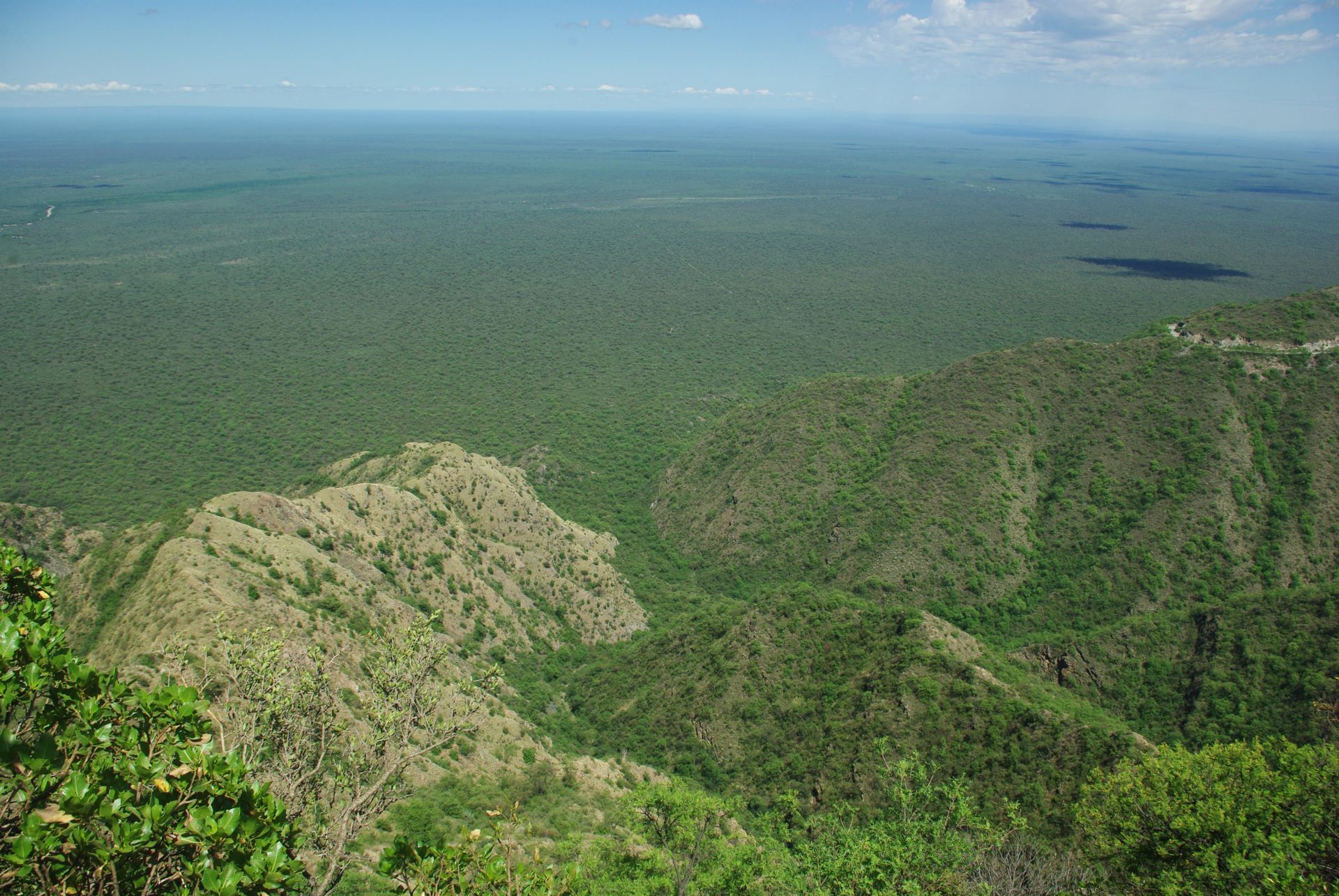 Great news for Argentina's Dry Chaco With 5,411-hectare Forest Expansion
