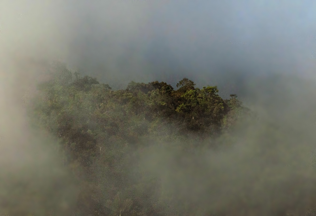 Río Machay officially recognised as a Wildlife Refuge