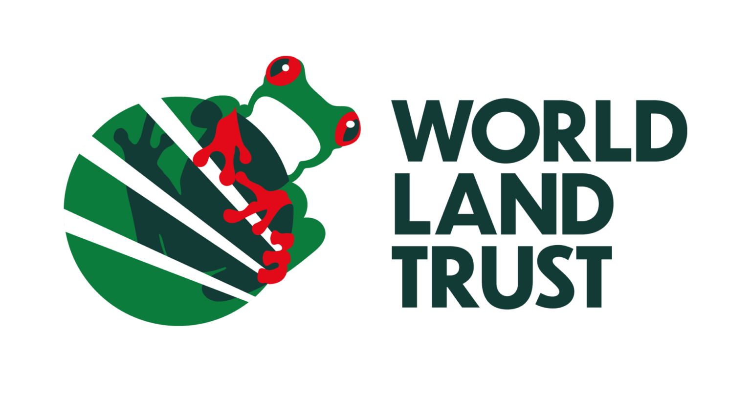Bushpig - World Land Trust